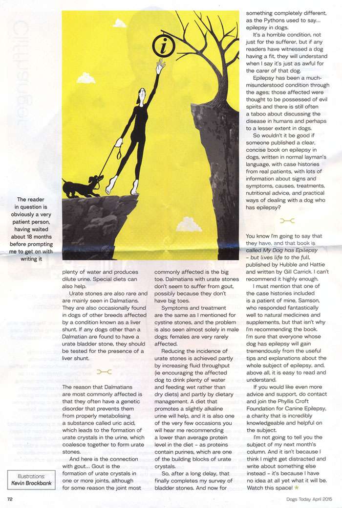 My Dog Has Epilepsy… – Gillian Lucy Carrick