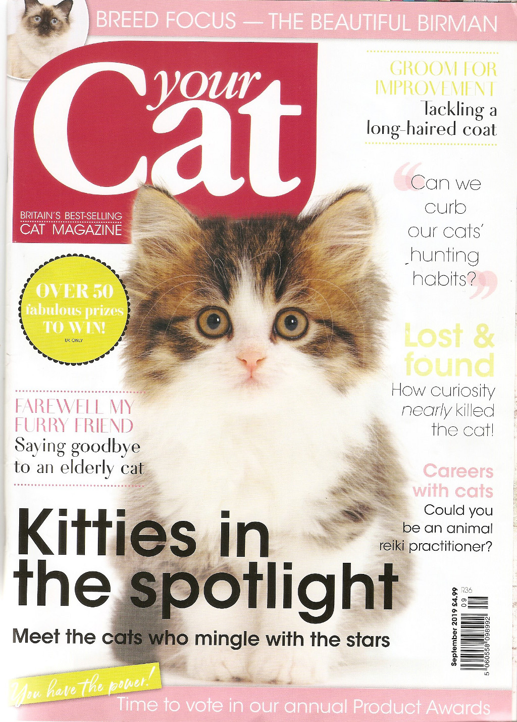 Pollution and our cats – Gillian Lucy Carrick