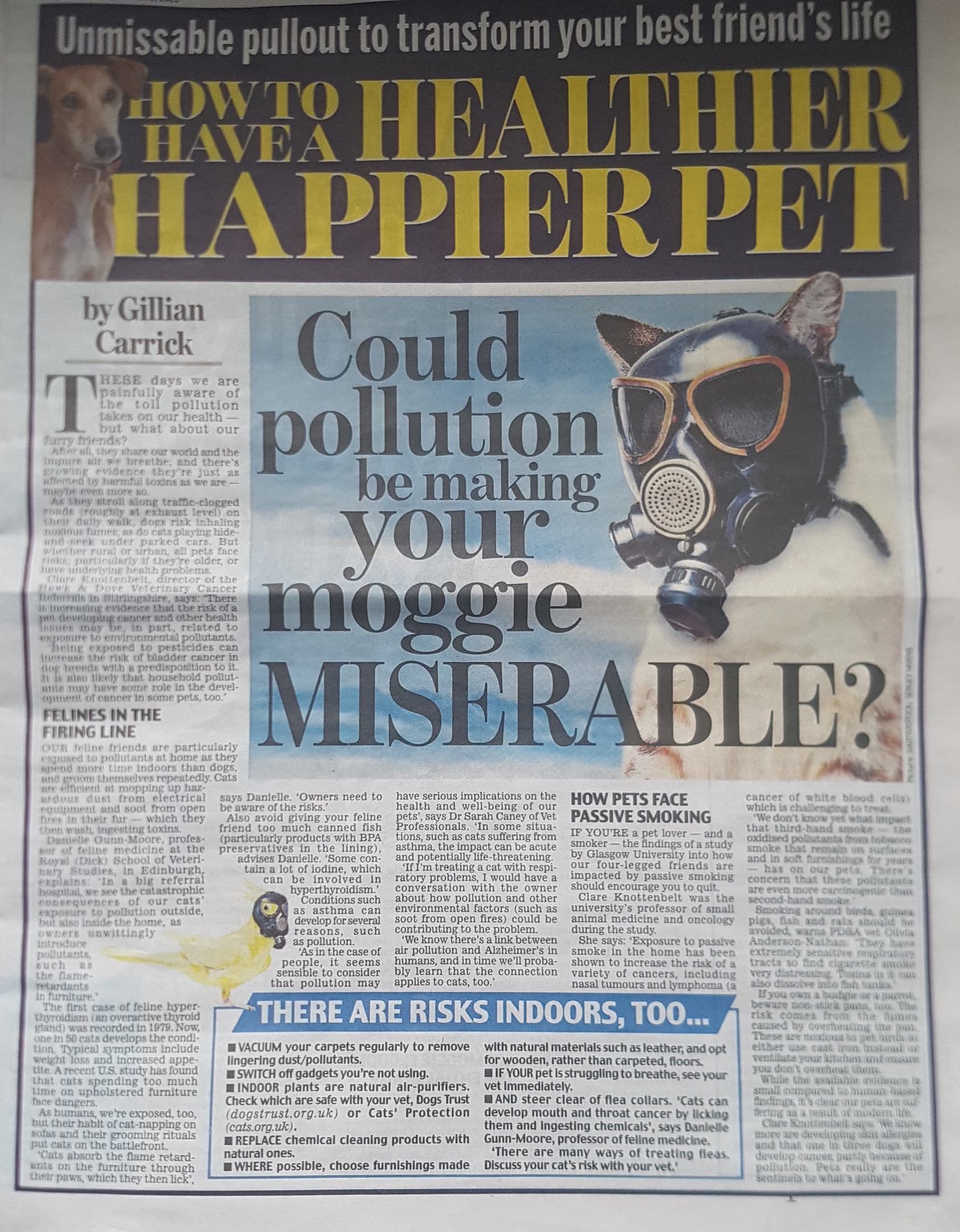 Daily Mail – Gillian Lucy Carrick